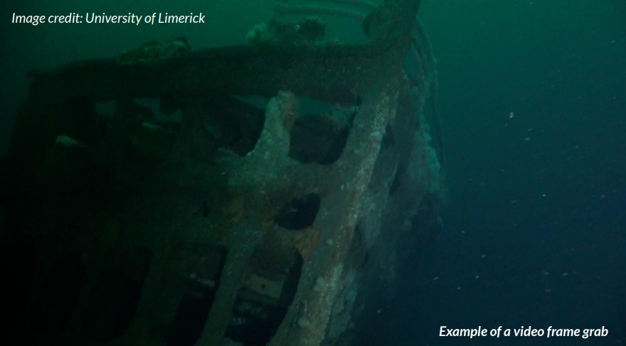 Video Frame Grabs vs. Digital Stills 1